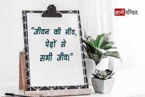 पेपर / कागज़ बचाने पर स्लोगन | Slogan on Save Paper in Hindi | India's ...